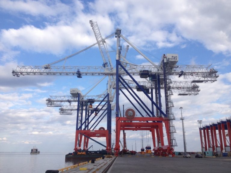 Russian port capacity grows with new projects - port.today